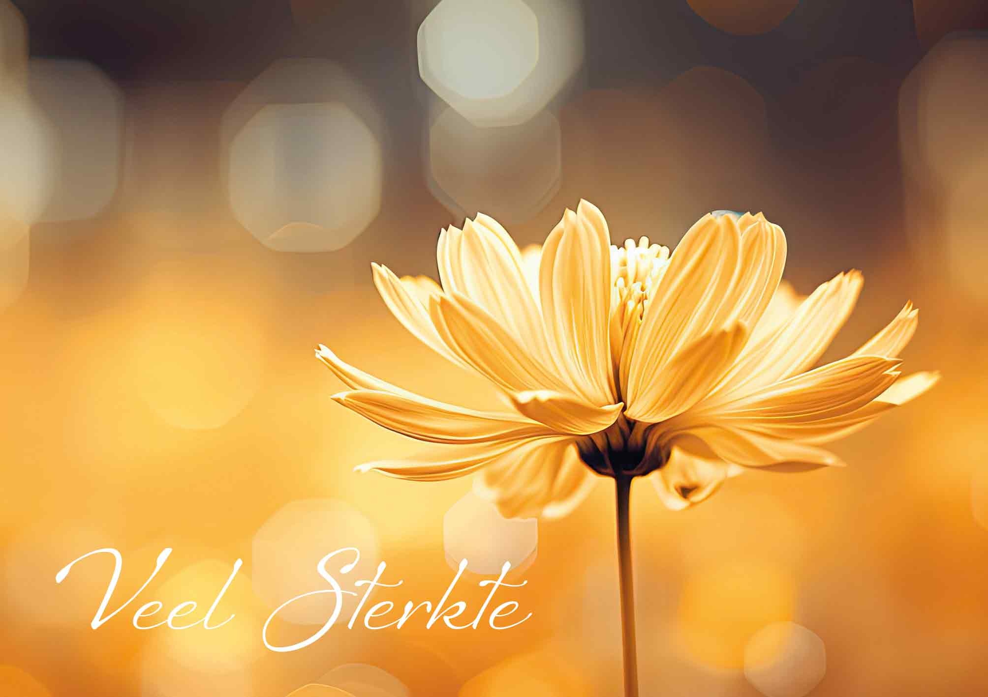 Veel sterkte - Denken aan kaart - Snelwenskaart.nl