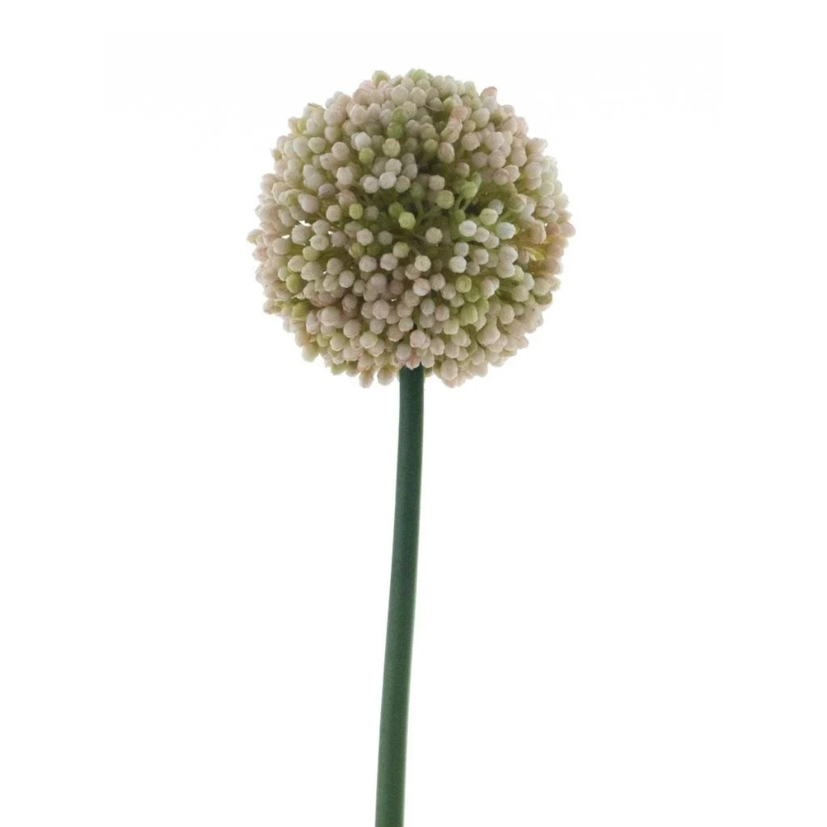 Allium spray Mura | cream | 66 cm - Lofthus Interiør