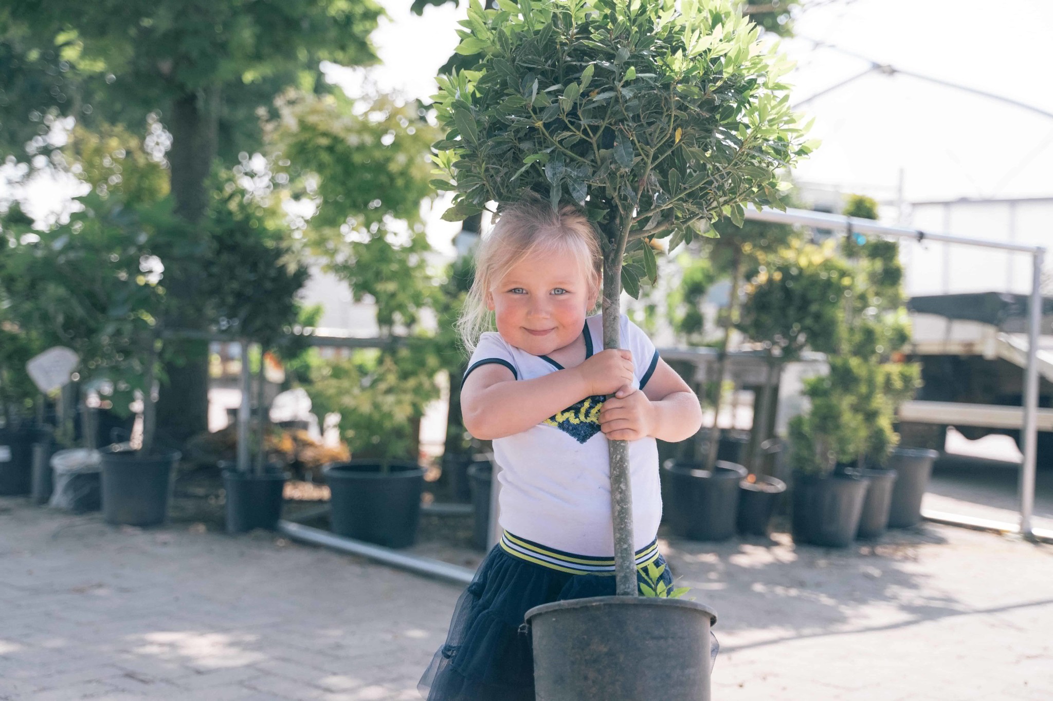 Wanneer kan je een boom planten? - Bomenkopen.nl