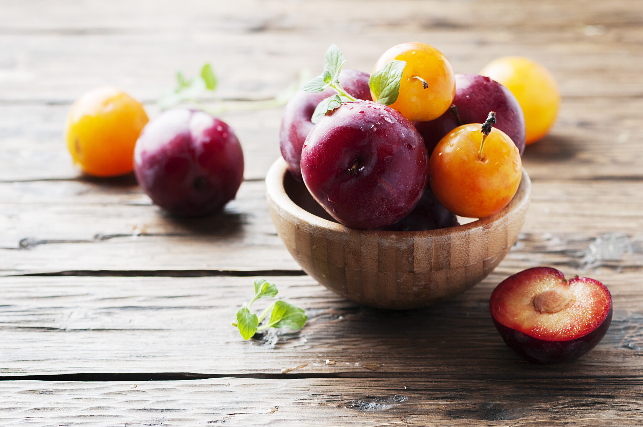 Ontdek de beste pruimenbomen voor jouw tuin! - Bomenkopen.nl