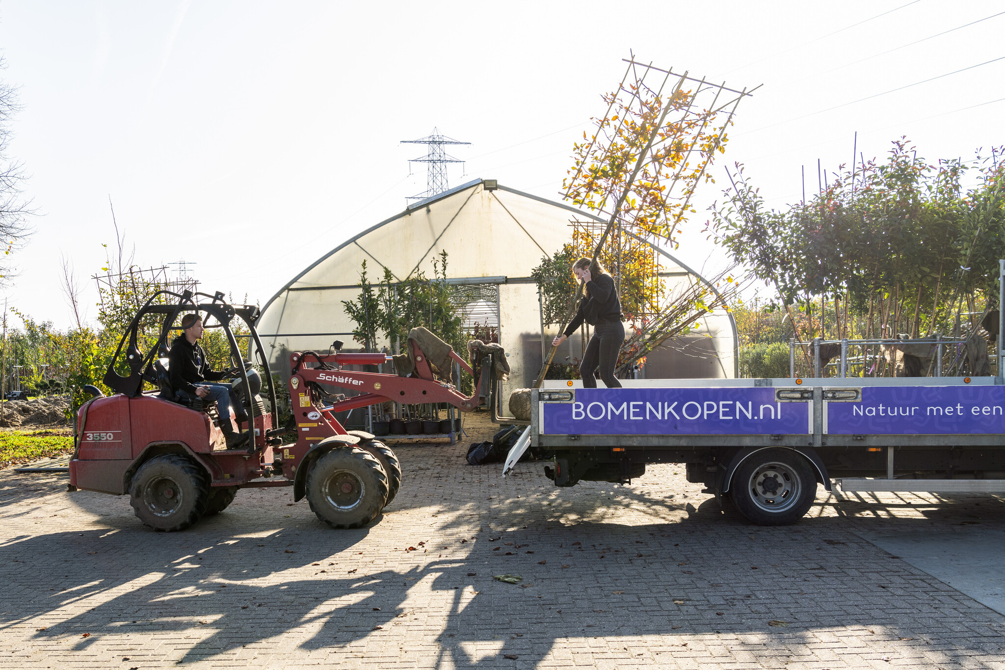 Bomen planten in juni | Bomen in pot en doorgroeikluit | Bomenkopen.nl ...