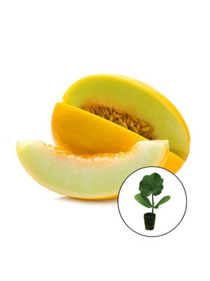 Farmzy voordeel - Farmzy Shop