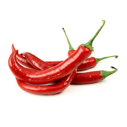 Peperzaden online bestellen en kopen | Peperras 'Spaanse Peper ...