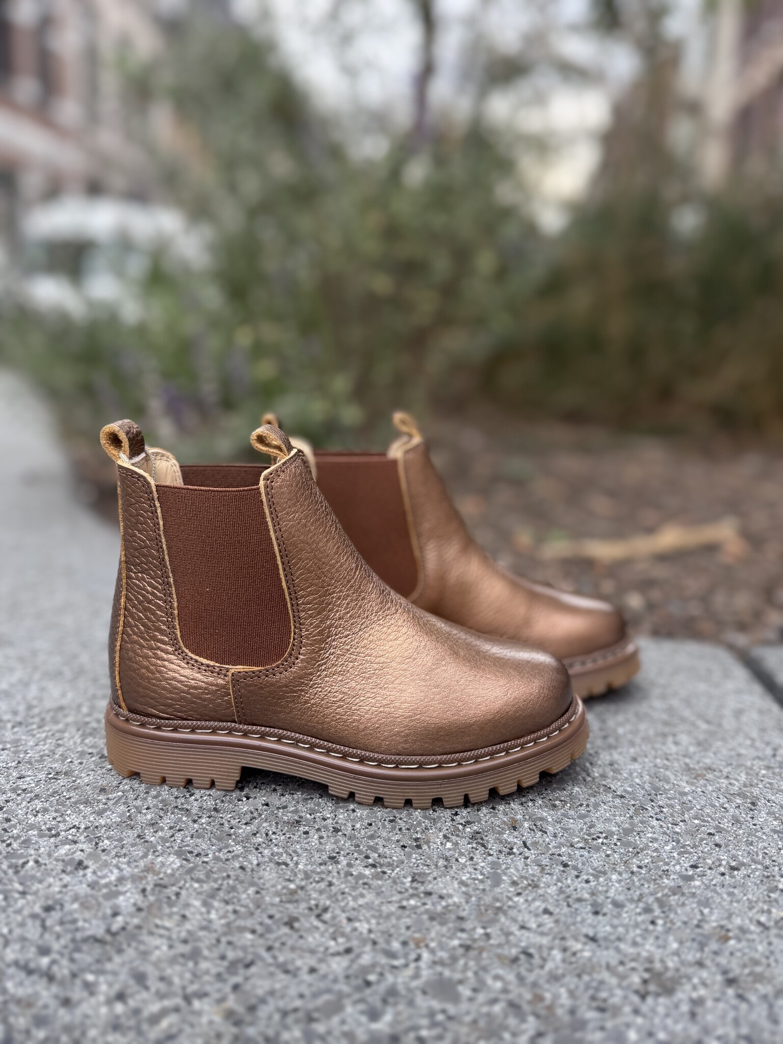 Angulus 2192-401 chunky chelsea boot bronze shine/cognac - Benjamine