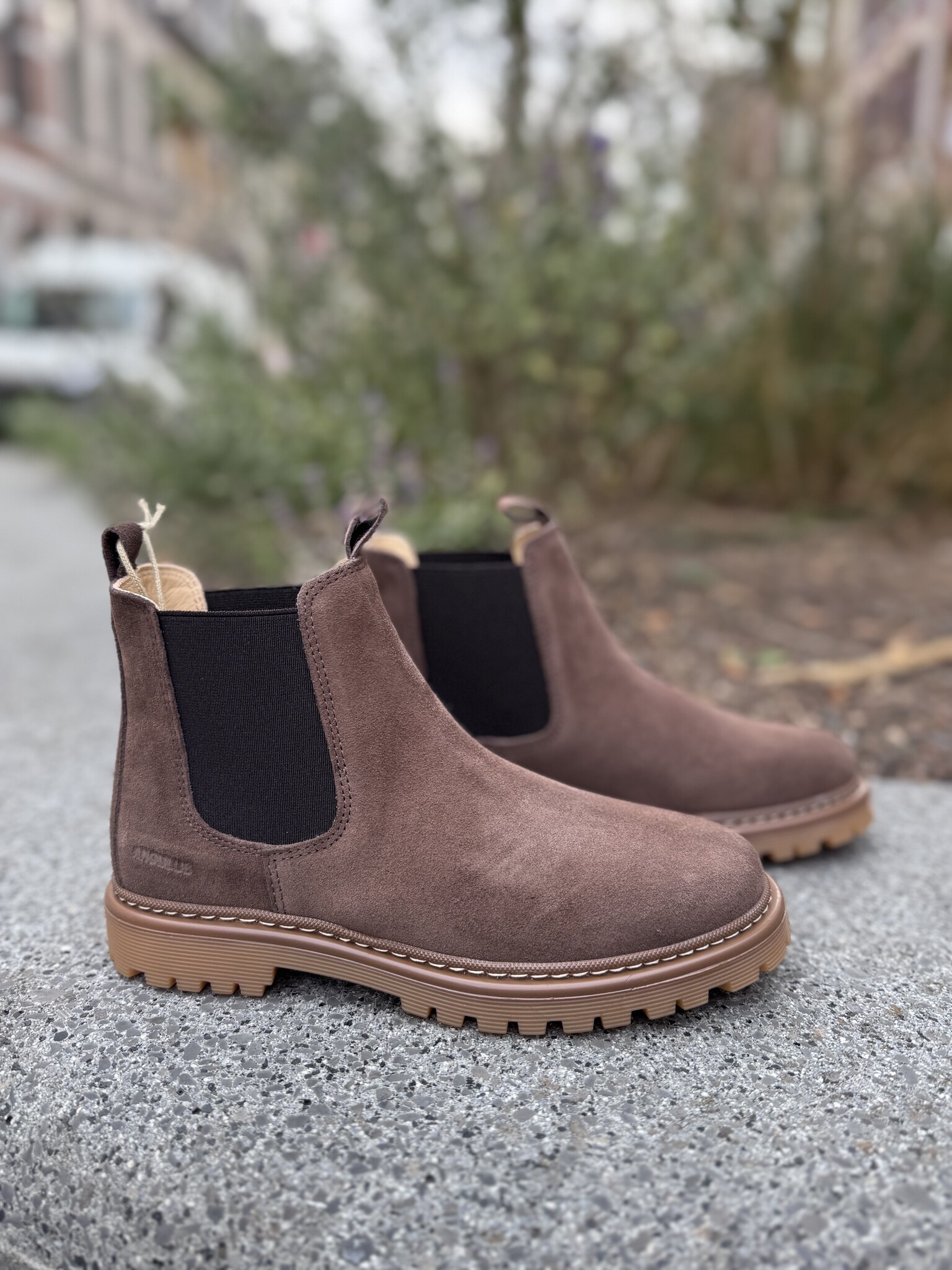 Angulus 2192-401 chunkey chelsea boot tracksole dark taupe/brown ...