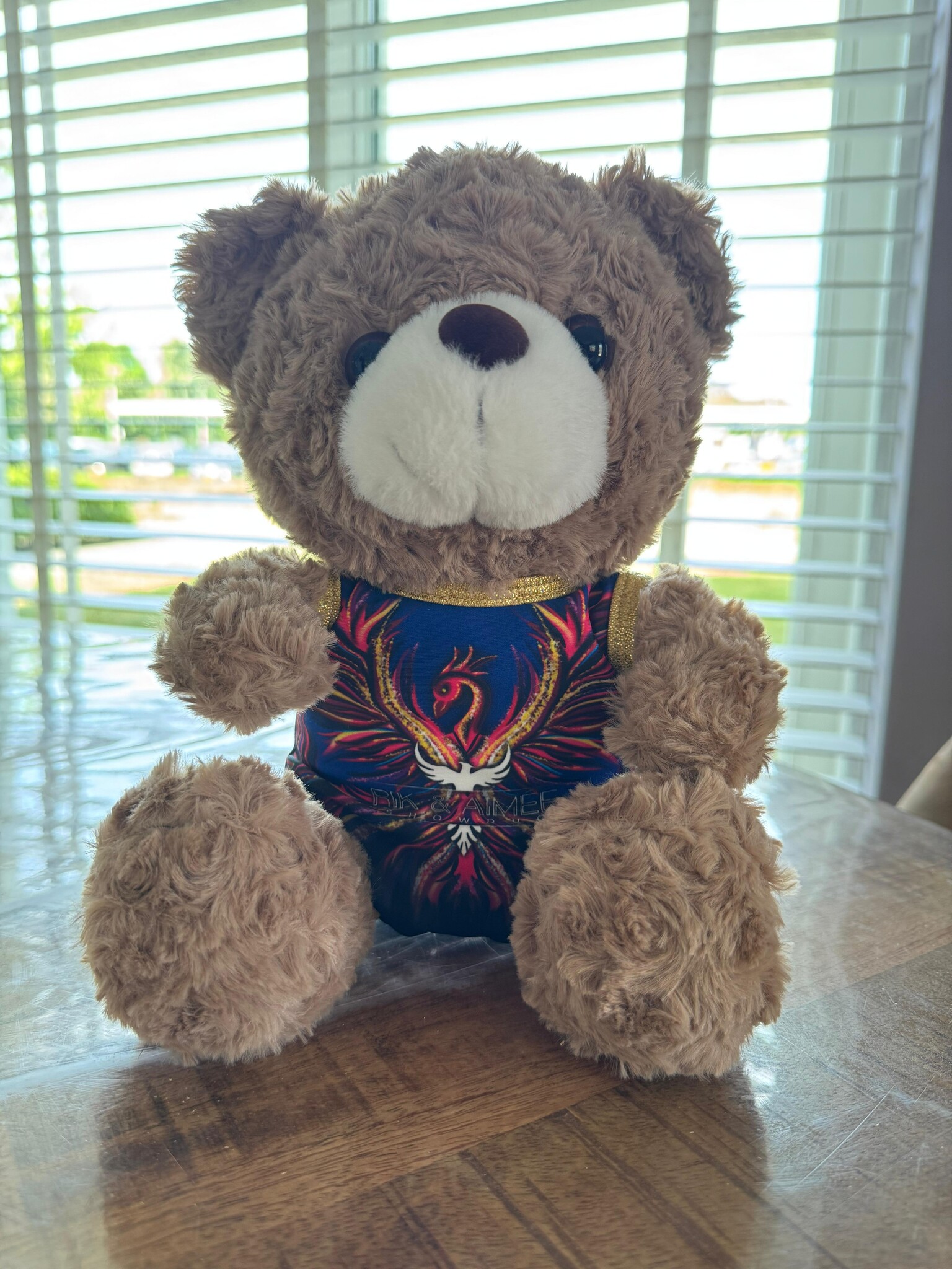 Teddy bear Phoenix