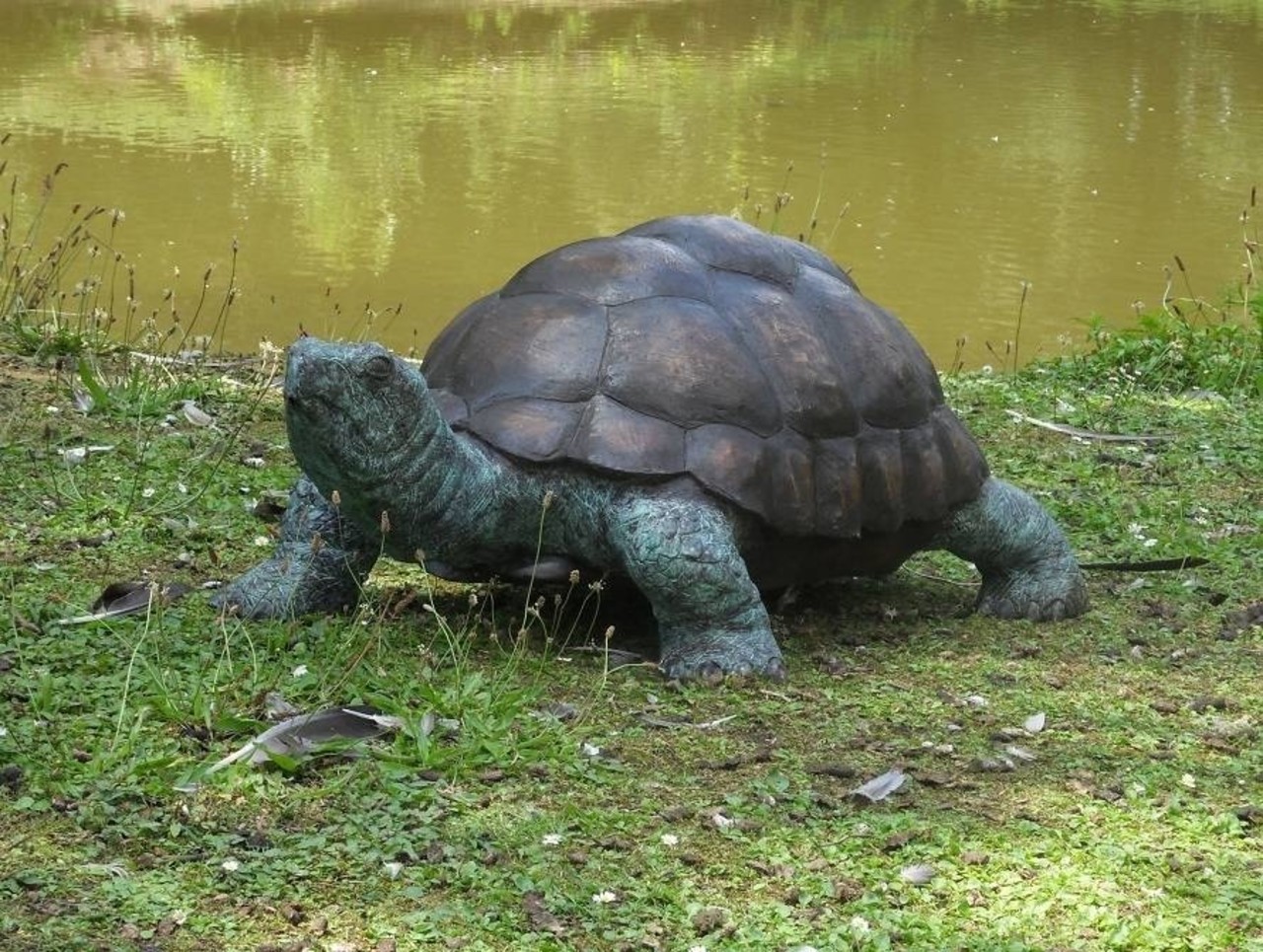 Sculpture bronze super large turtle - Eliassen - Eliassen Home & Garden ...