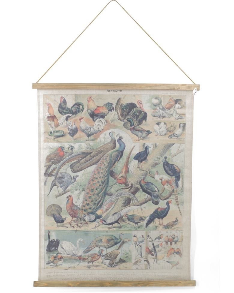 Wall map Peacock 100cm - Eliassen Home & Garden Pleasure