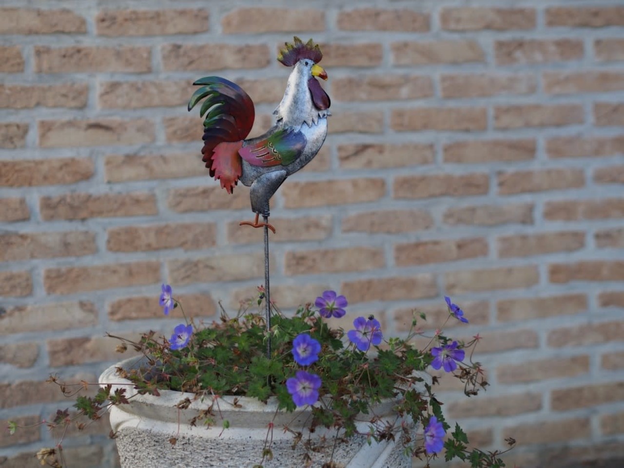 Garden plug colorful rooster - Eliassen Home & Garden Pleasure