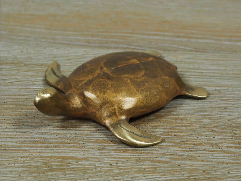 Bronze sculpture Turtle - Eliassen Home & Garden Pleasure