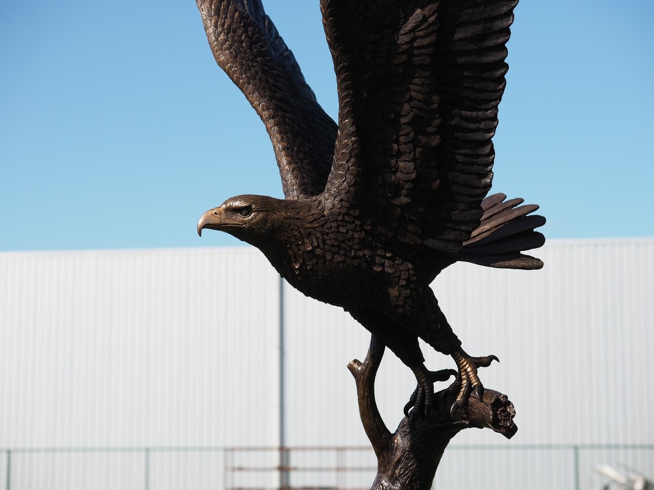 Bronzen beeld Arend op tak - eliassen.nl - Eliassen Home & Garden Pleasure