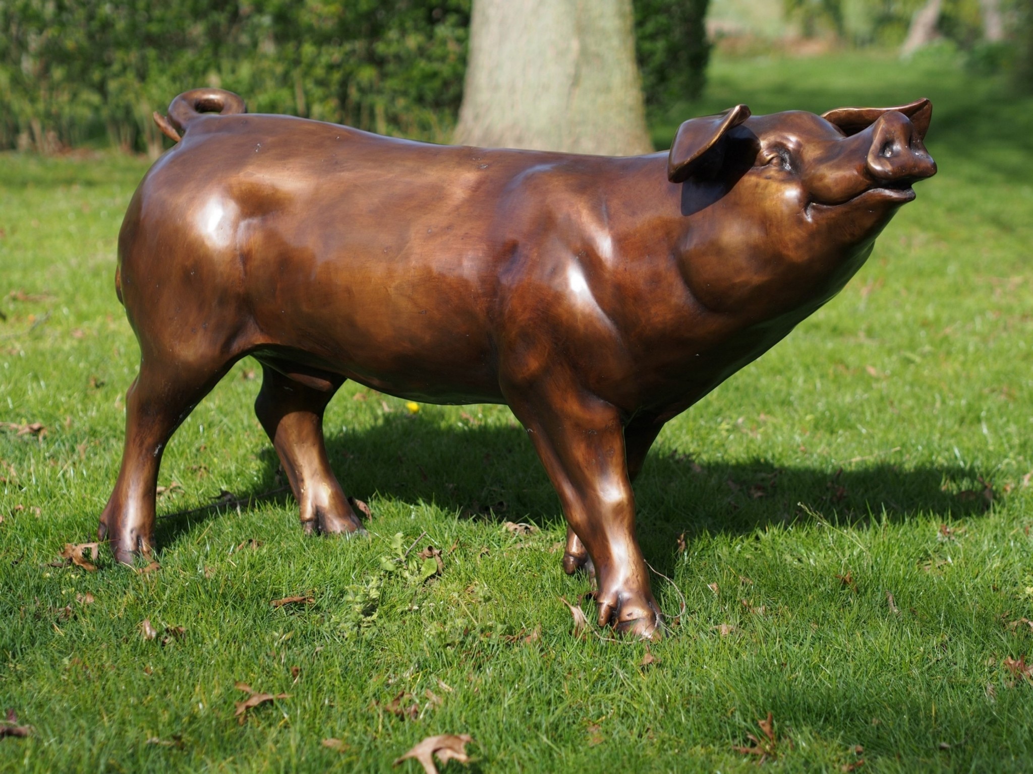 Bronze sculpture Pig model 1 - Eliassen Home & Garden Pleasure