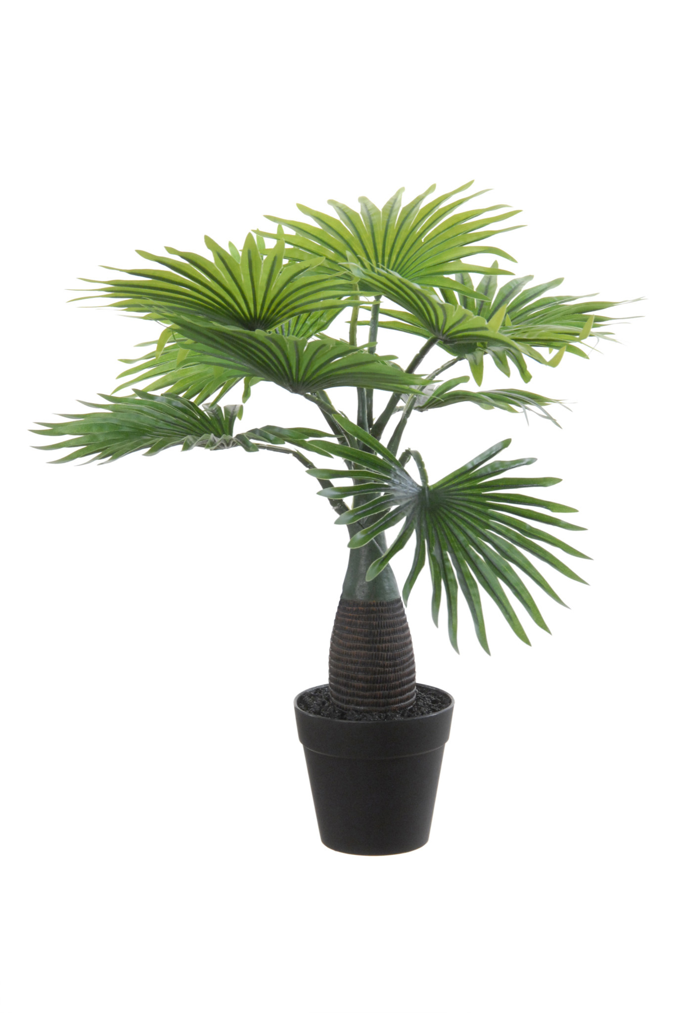 Artificial plant fan palm 45cm - Eliassen.nl - Eliassen Home & Garden ...