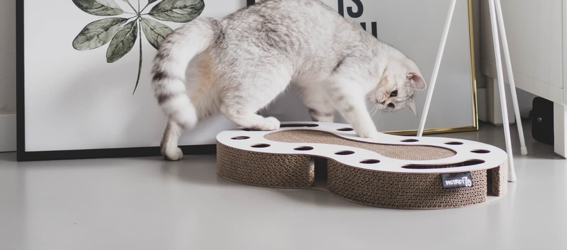 District 70 | Design Cat Scratchers & Comfortable Dog Beds - District 70