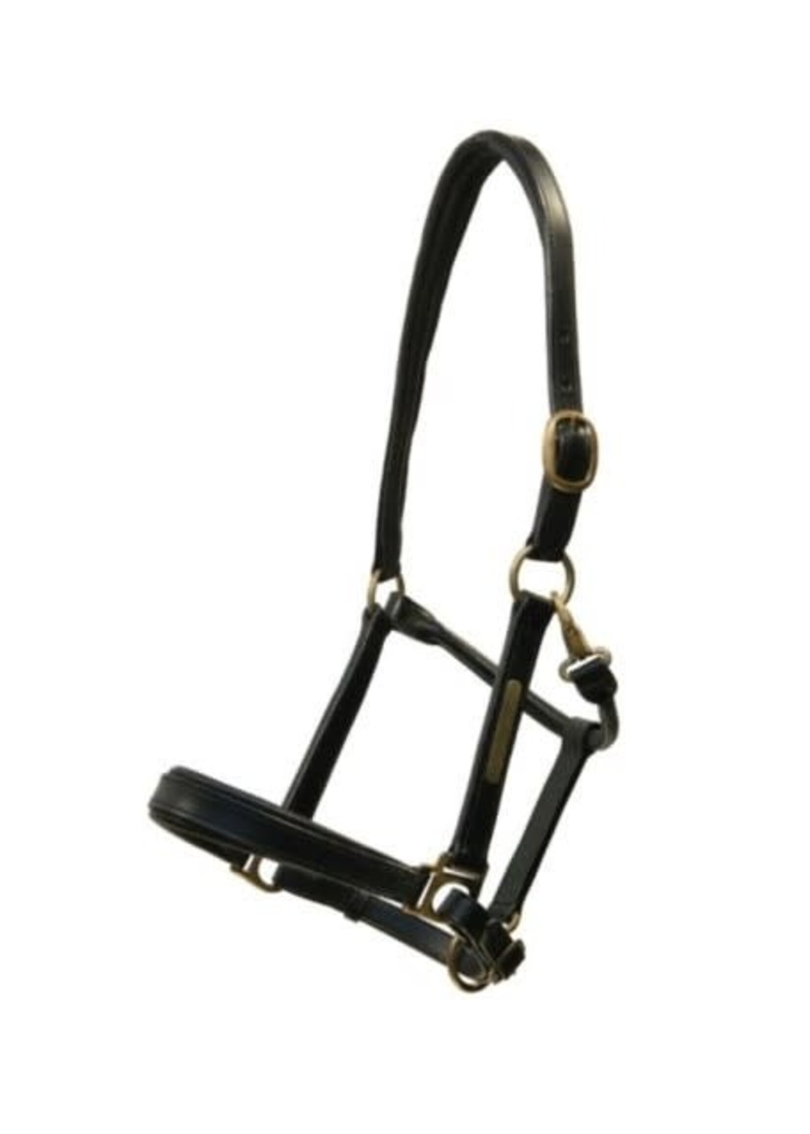 LJ LJ Halster Leder Met Naamplaatje Zwart - Paardensport Cavallino