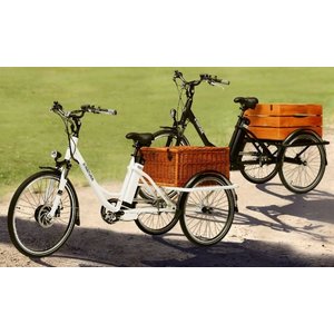 Driewielfietsen volwassenen - Mega-Mobility.be