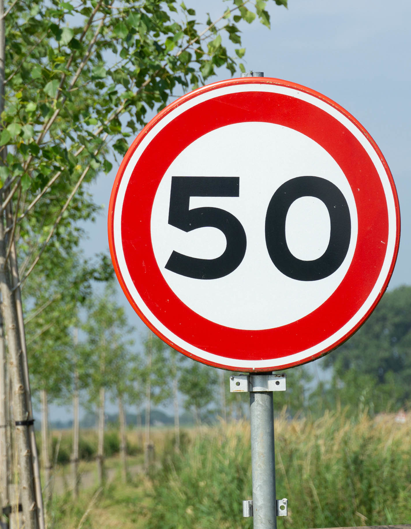 Maximum Snelheid Bord | Verkeersbord A01-50 | Verkeersbord max 50 km/u - Verkeerswinkel.nl
