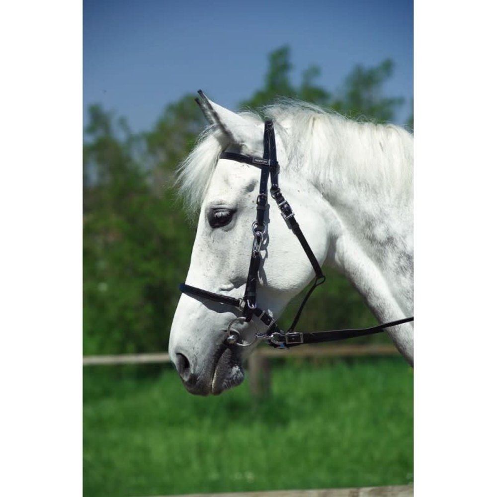 Wandelhoofdstel synthetisch Zwart Full - Aleashop