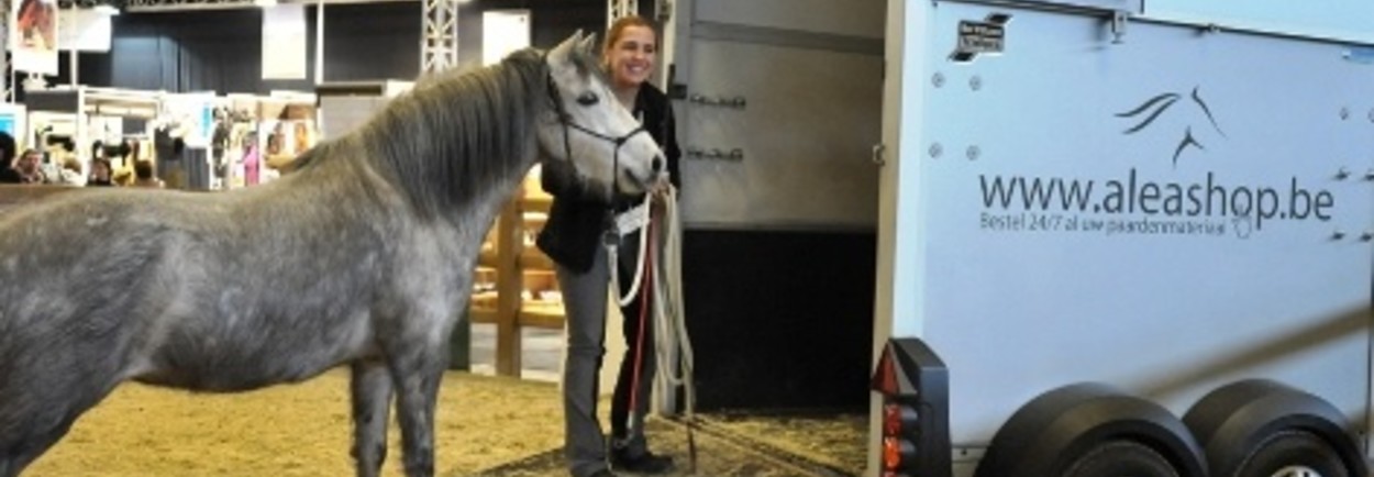 Blog - Veilig trailerladen dankzij Parelli Natural Horsemanship - Aleashop