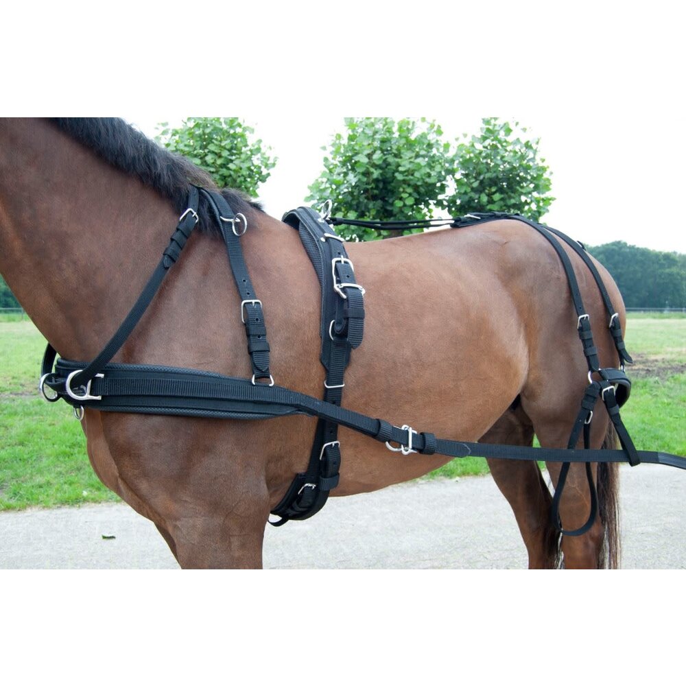 Harnais WebTech Combi Simple - Aleashop