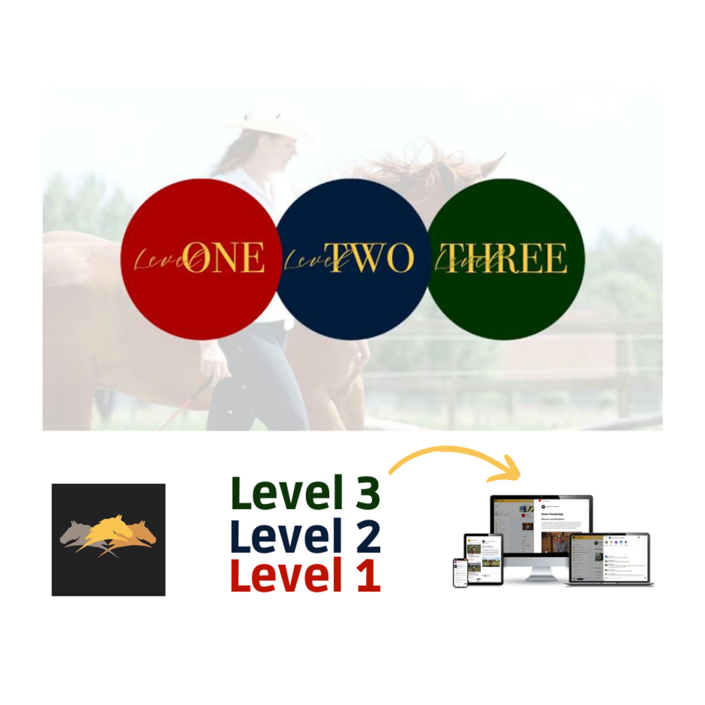 Parelli Program Online Course Level One, Two and Three - Aleashop