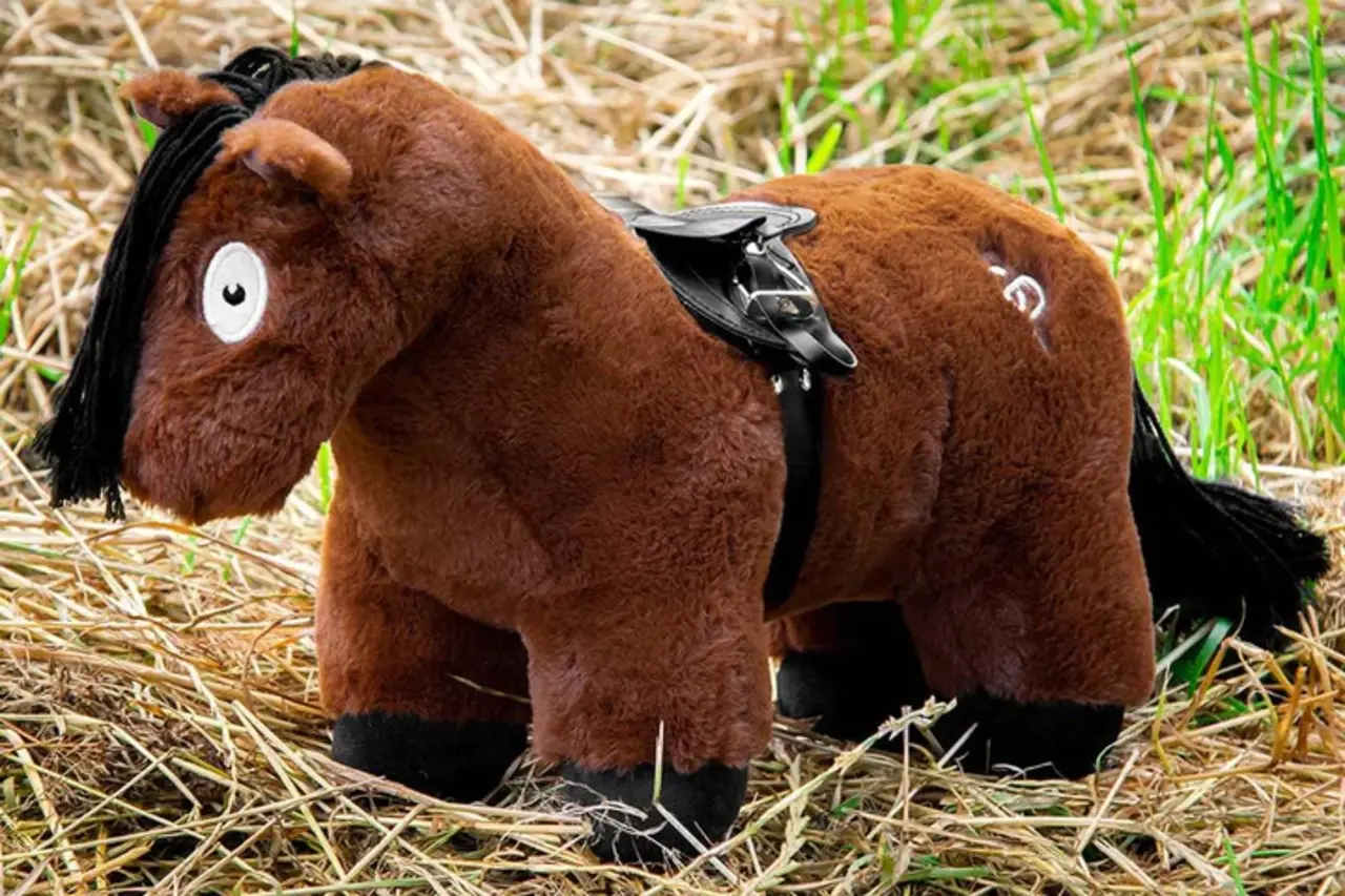 Crafty Pony Selle y.c. livret d'instructions NL - Aleashop