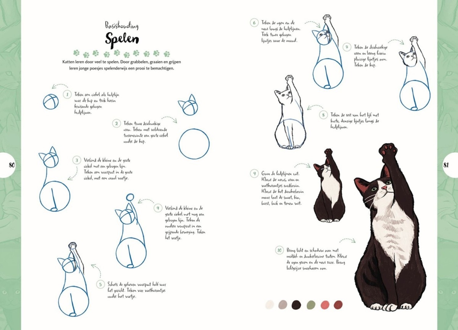 katten tekenen in 10 stappen - Justine Lecouffe - KaJa Art Material