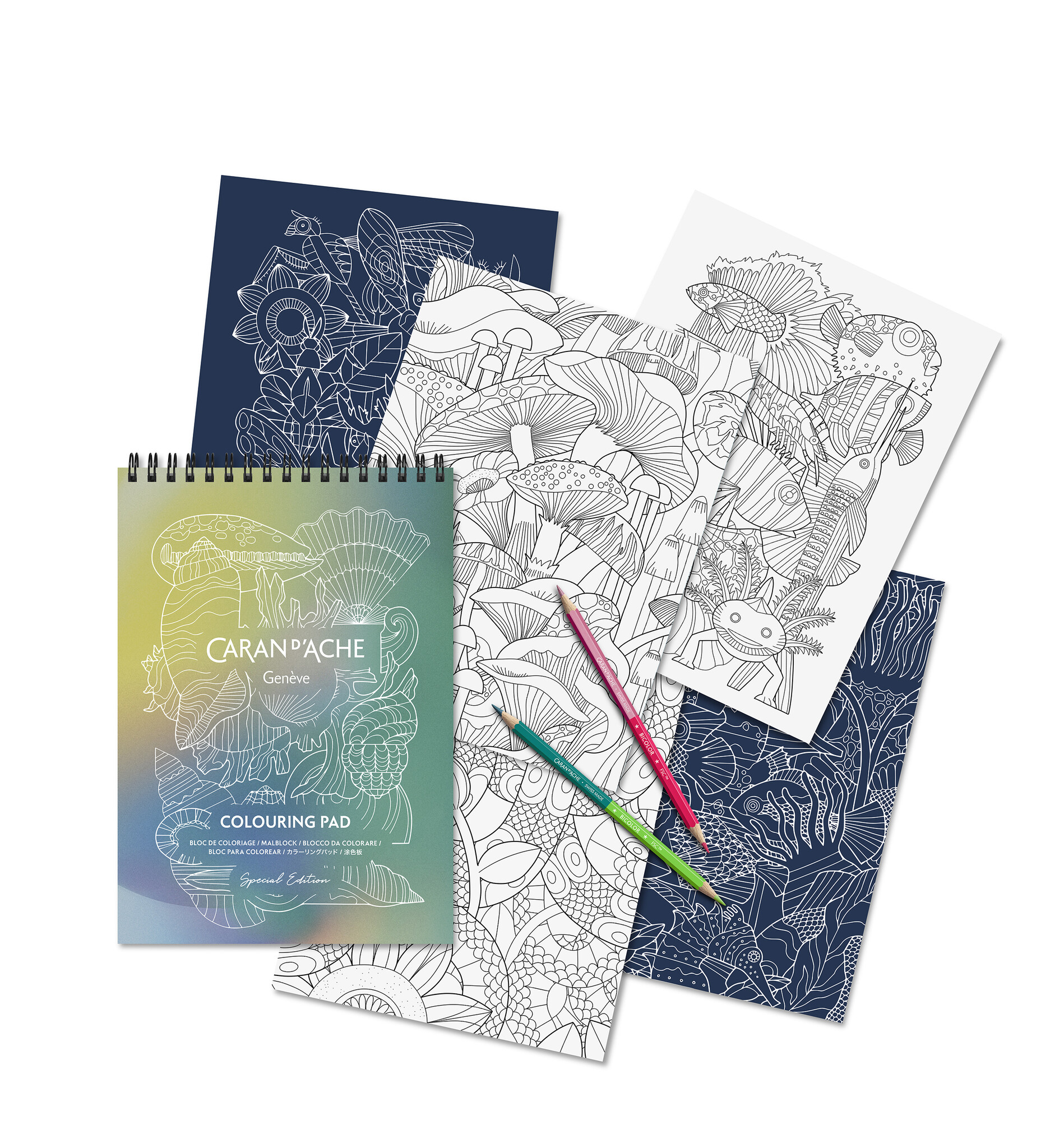 Caran d Ache kleurblok colouring pad - special edition A5 - KaJa Art ...