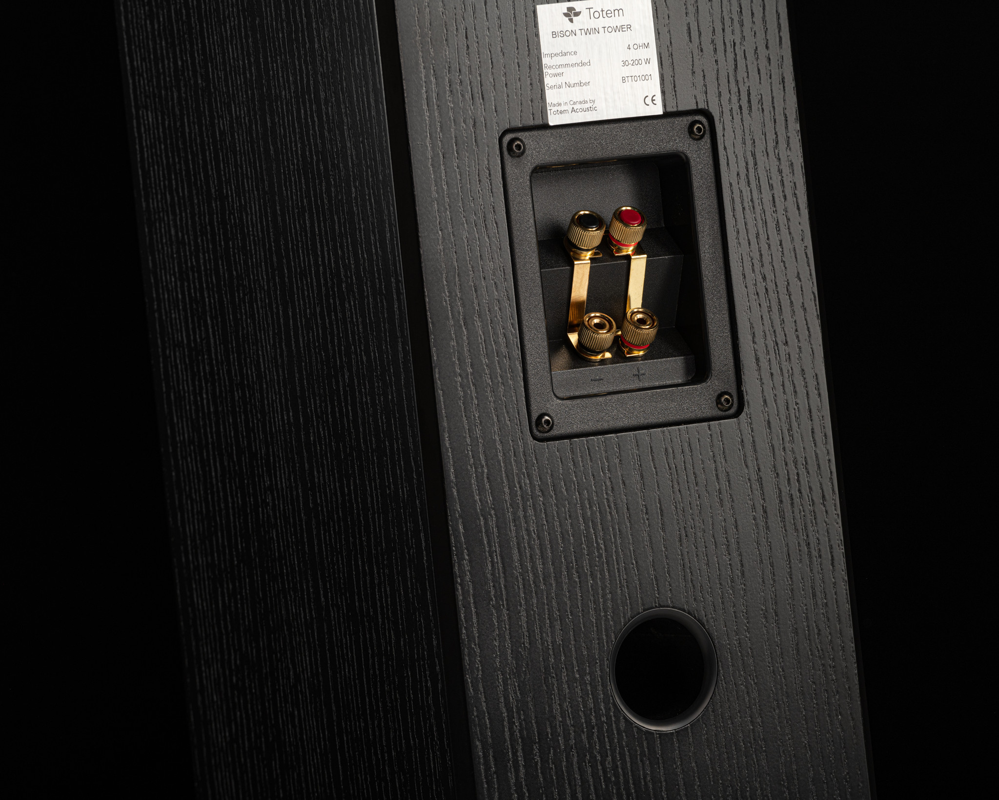 Totem Bison Twin Tower - Bender hifi