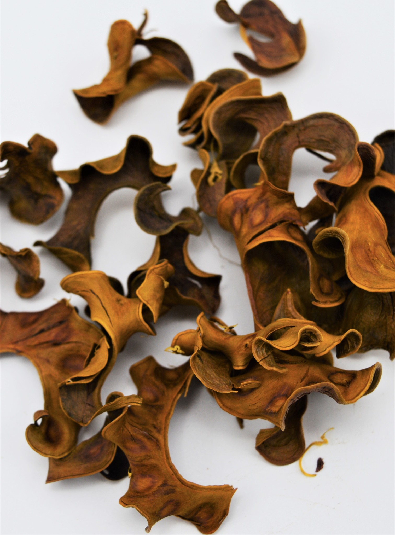 Gedroogde decoratie #1 - Nature Deco