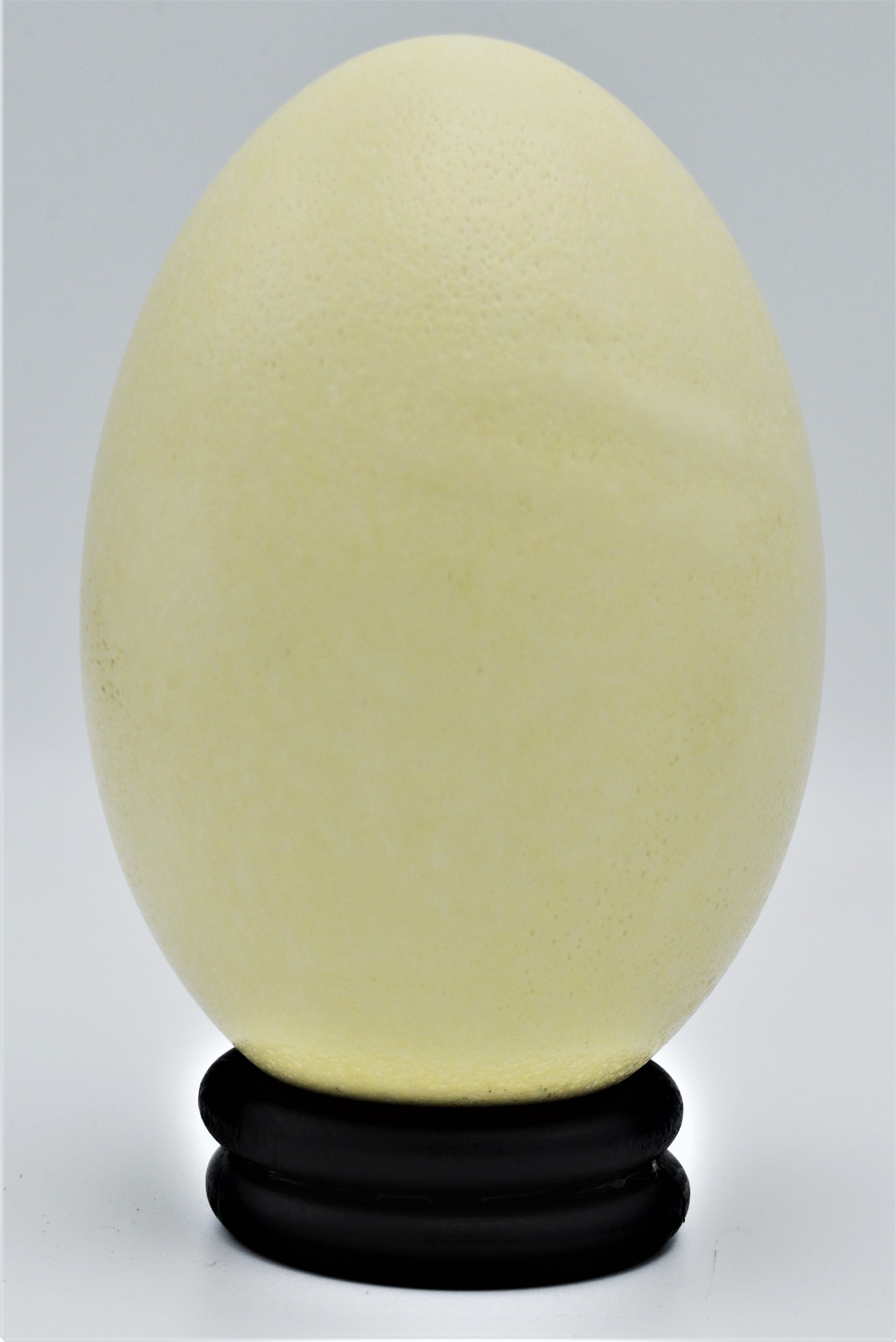 Rhea egg - Nature Deco