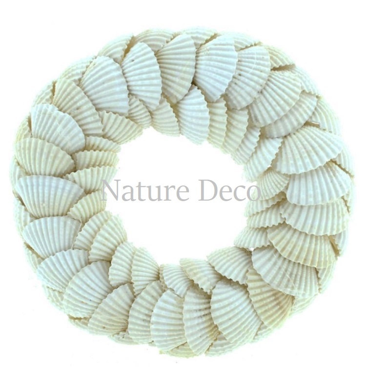 Shell wreath Chippy 15 x 15cm - Nature Deco