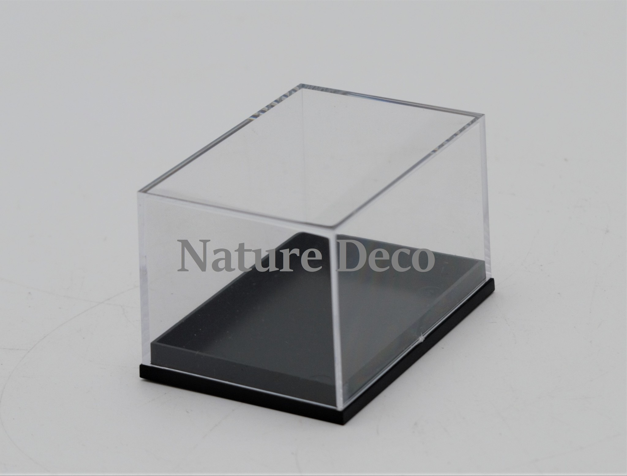 Insect box display showcase plastic model - Nature Deco