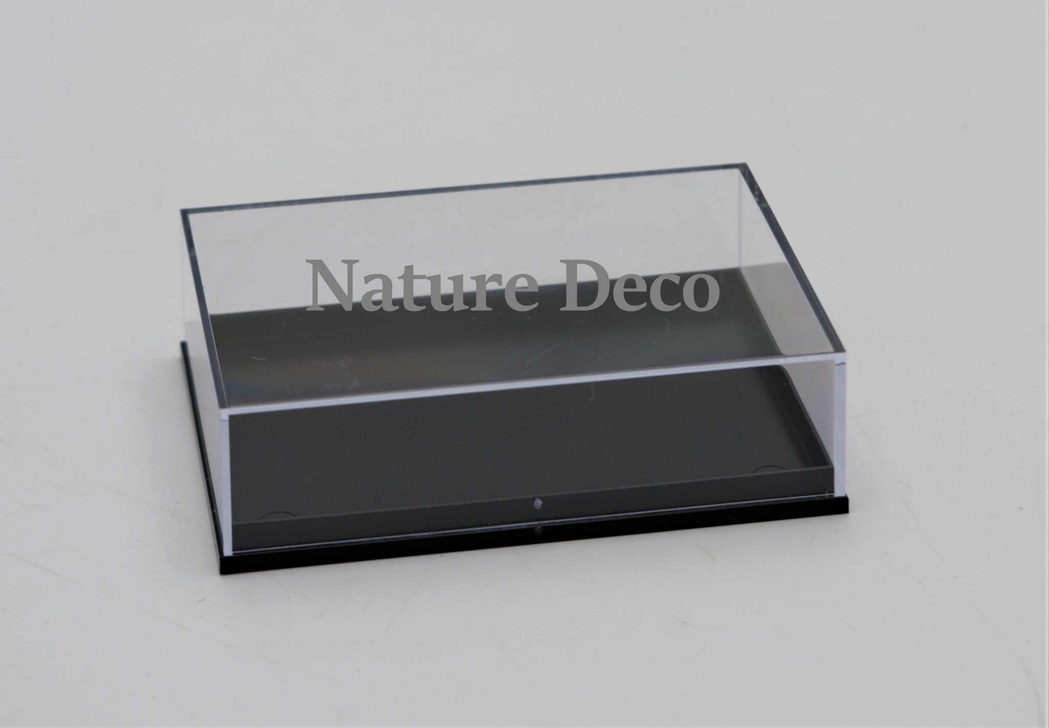 Insect box display showcase plastic model - Nature Deco