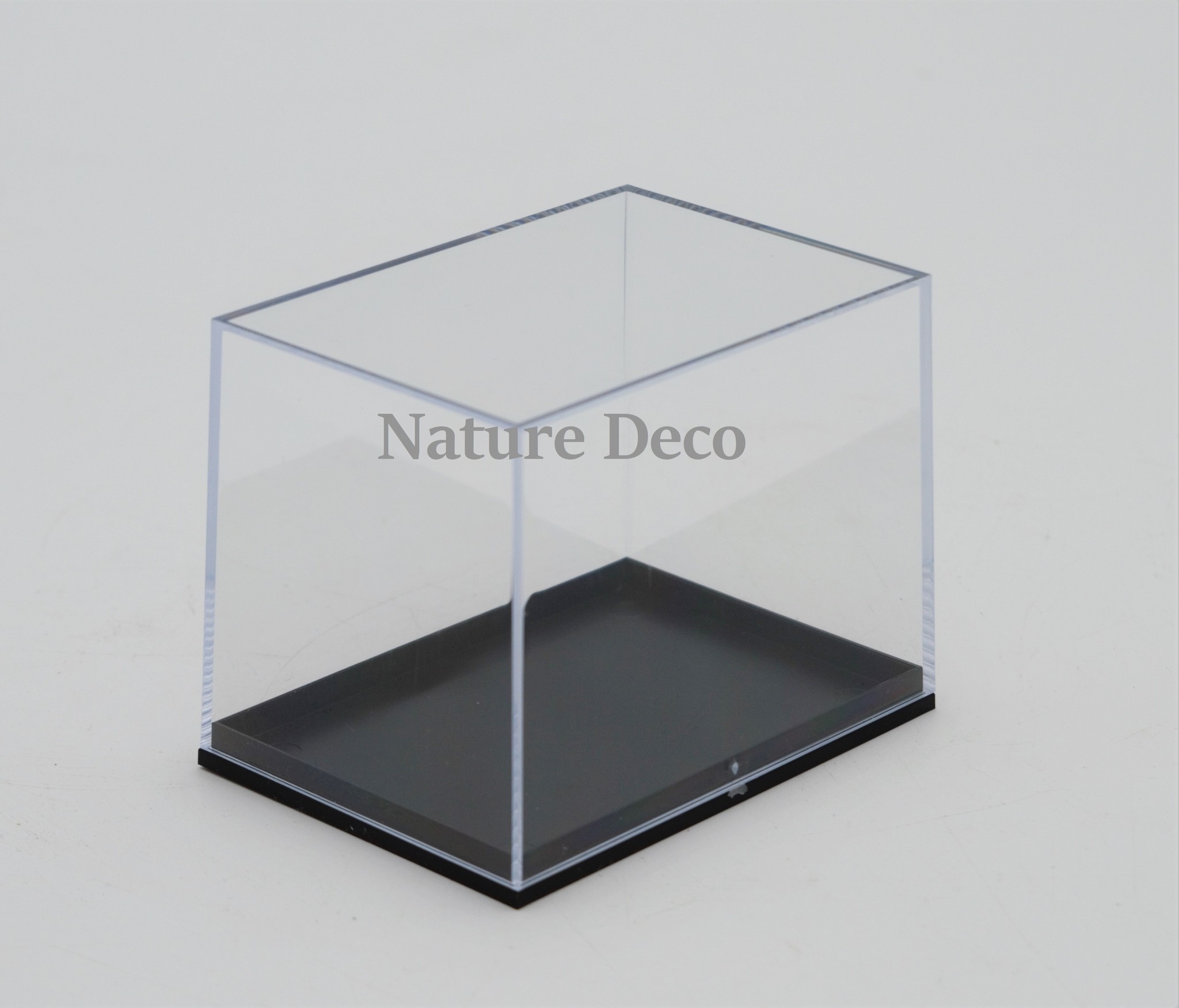 Insect box display showcase plastic model - Nature Deco