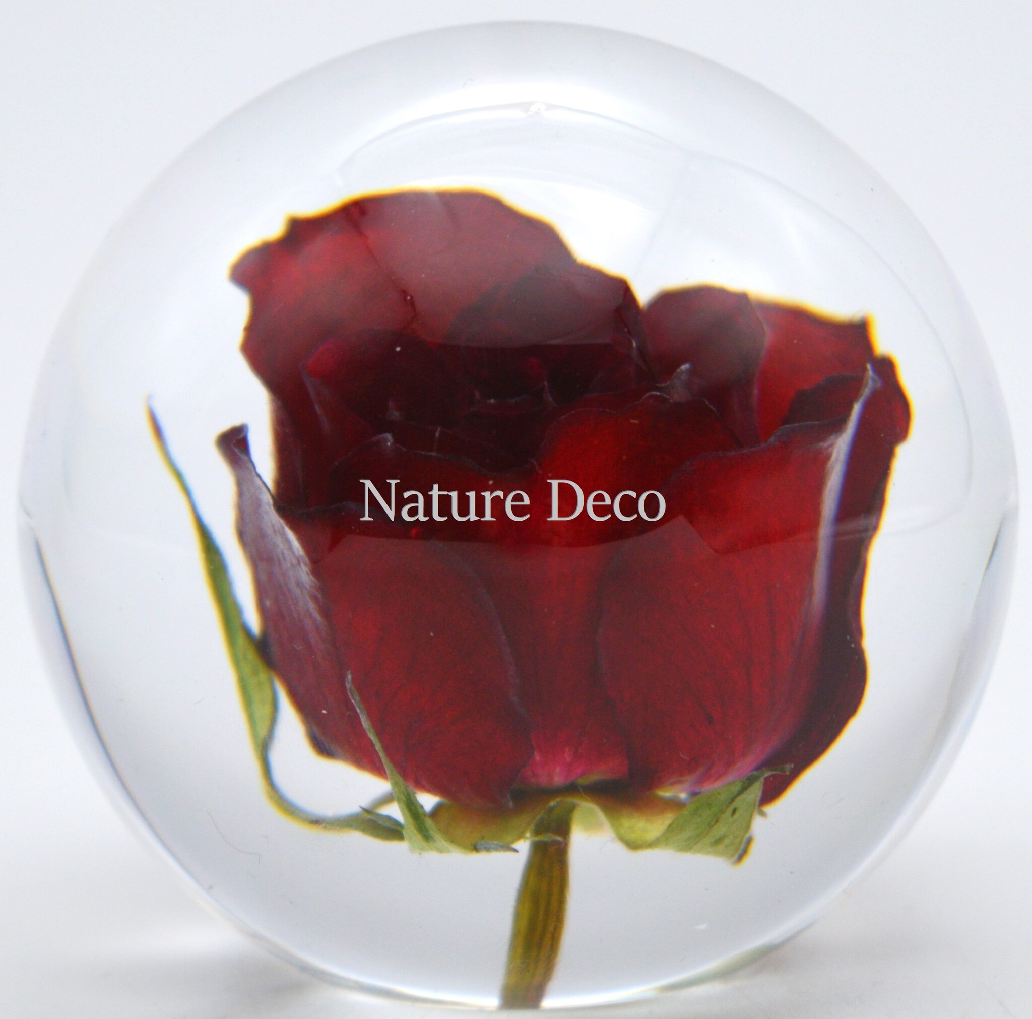 Roos groot in hars "bol" - Nature Deco