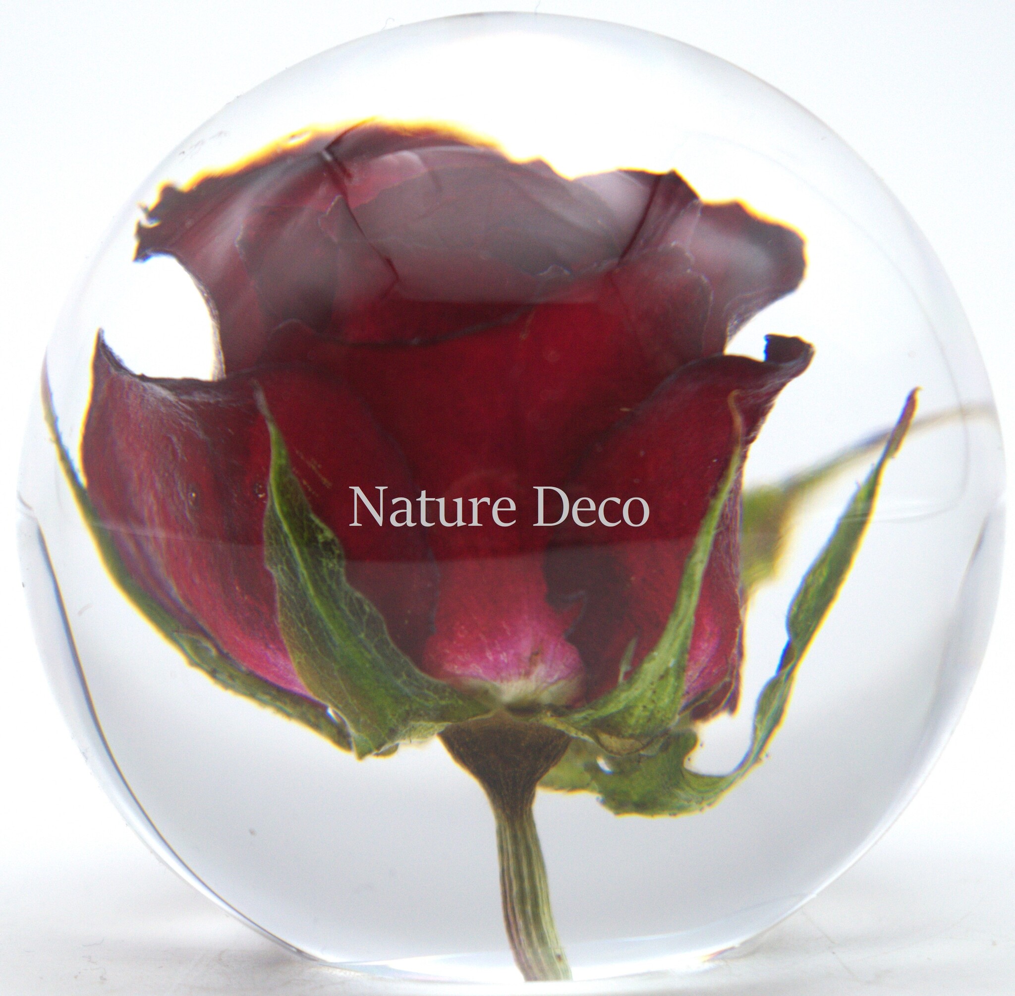 Rose medium in resin "sphere" - Nature Deco