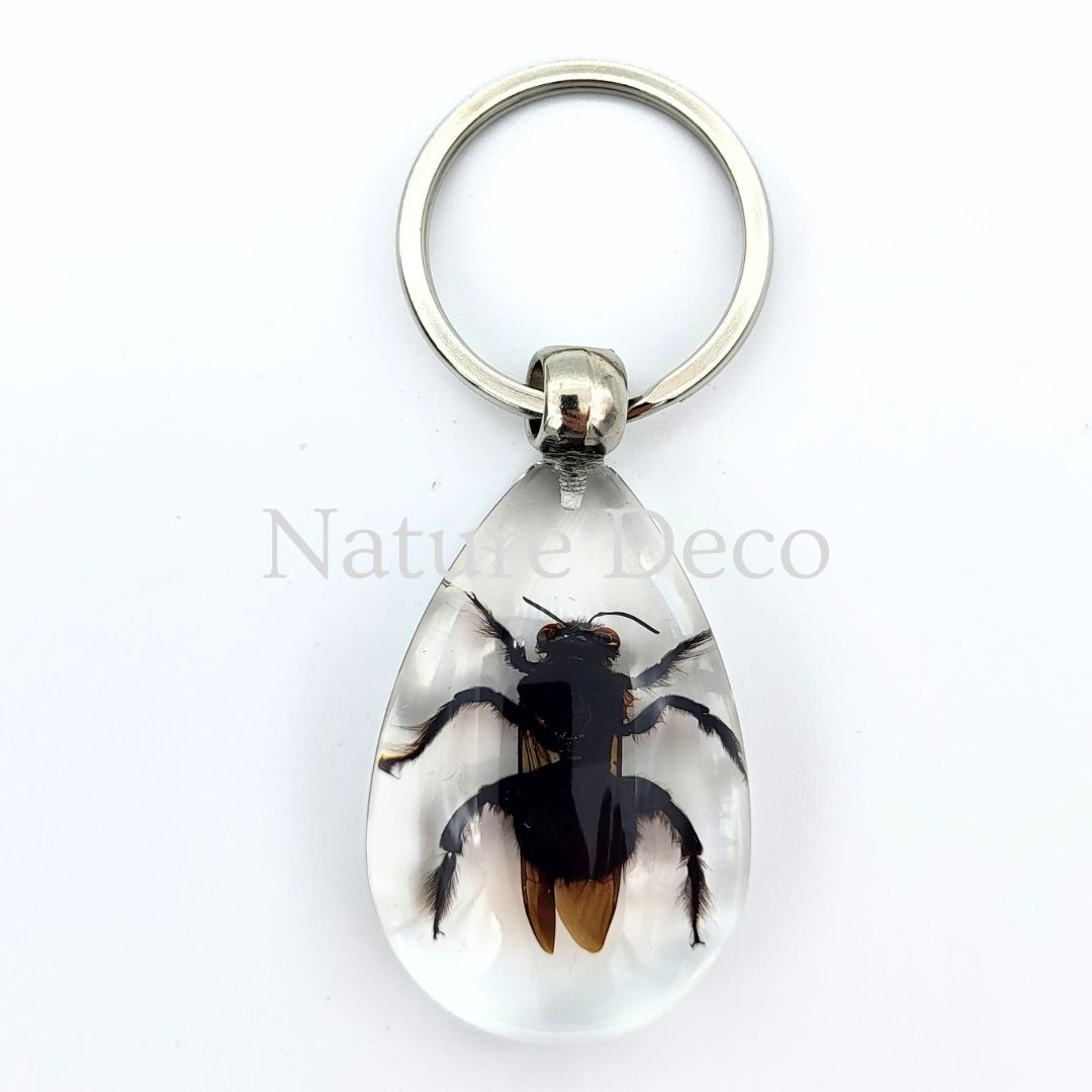Insects keychain #4 - Nature Deco