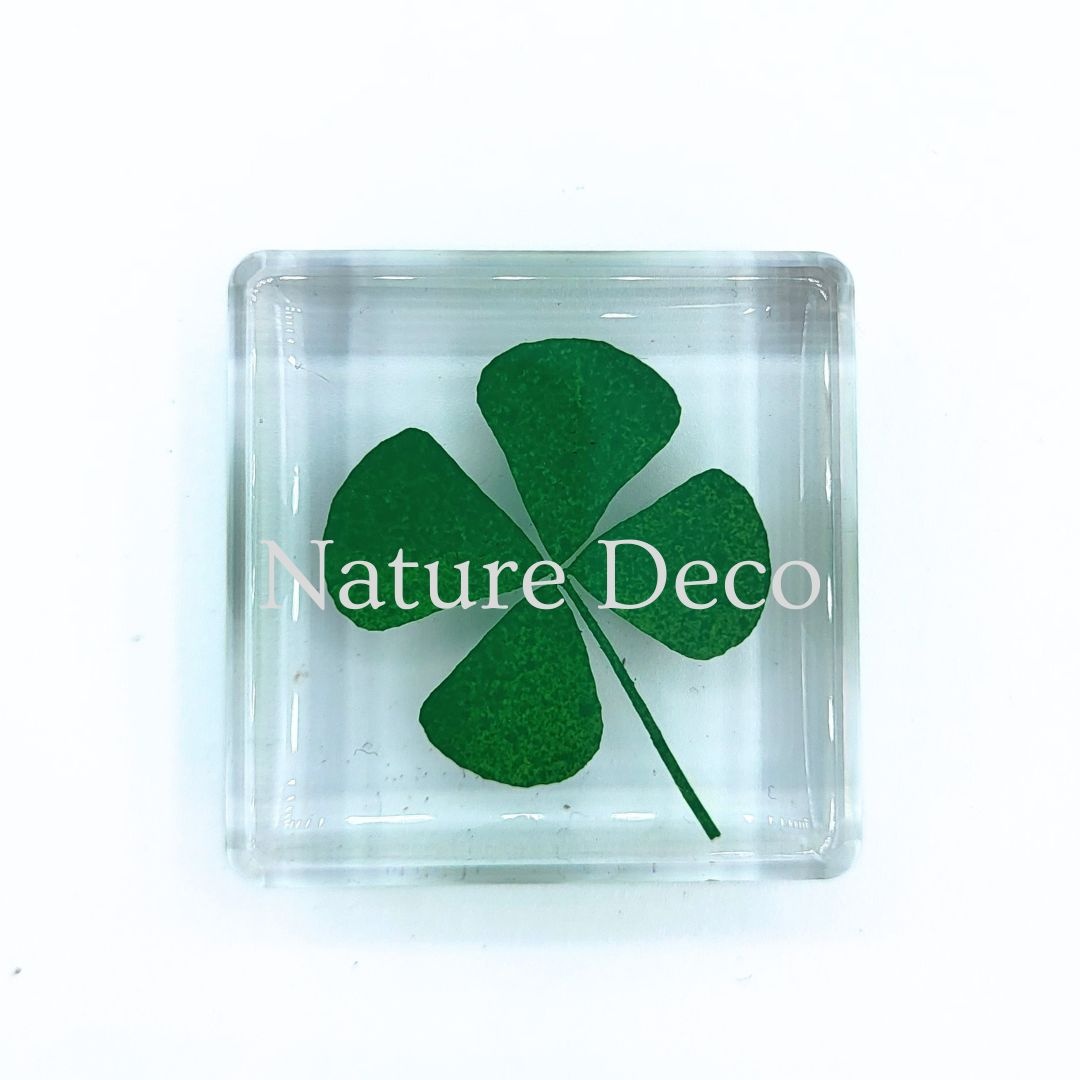 Four-leaf clover in resin 3.5 x 3.5 x 1 cm - Nature Deco