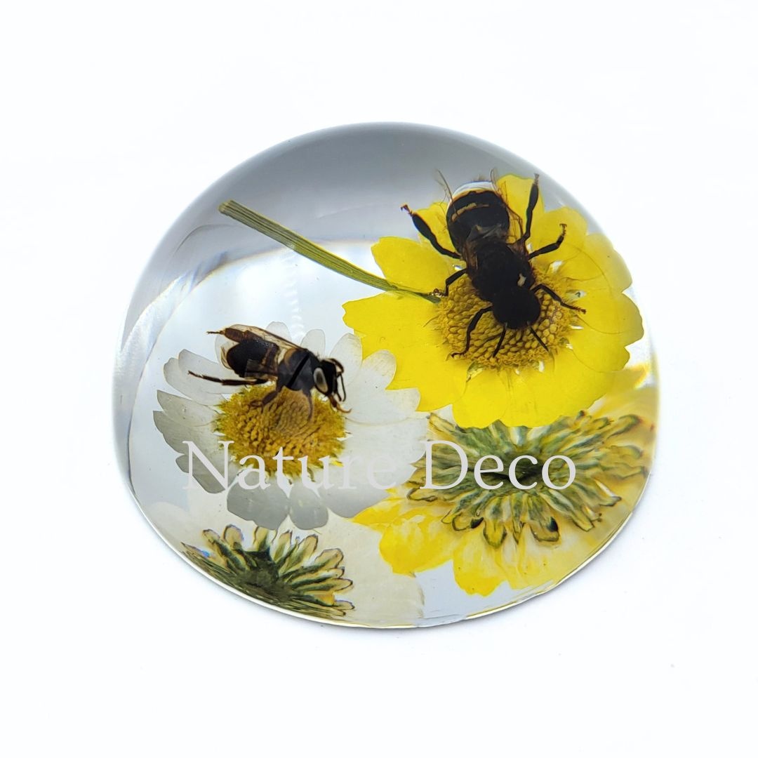 Bees on Flowers in Half-Dome Resin 6.5 x 6.5 x 3.5 cm - Nature Deco