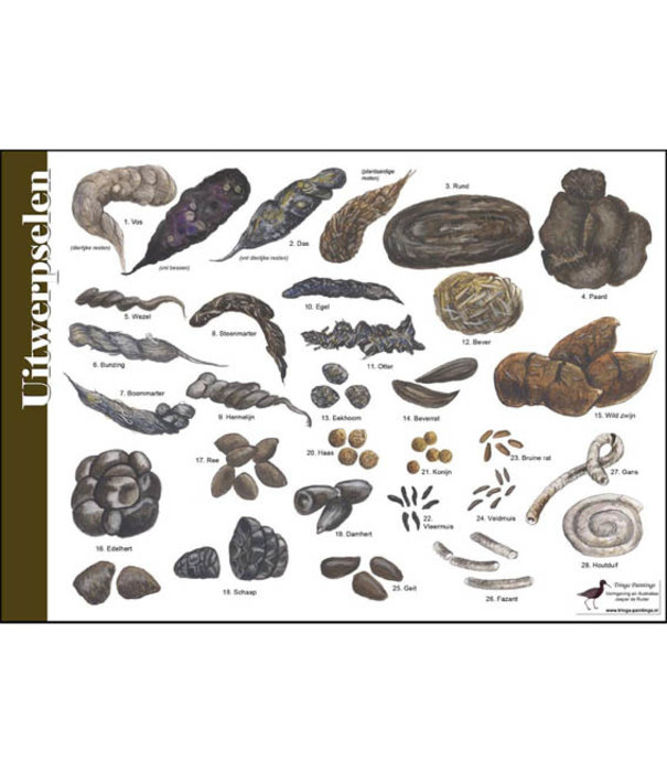 Herkenningskaart - Poep | Ontdekken in de Natuur - JUTTER & Co.