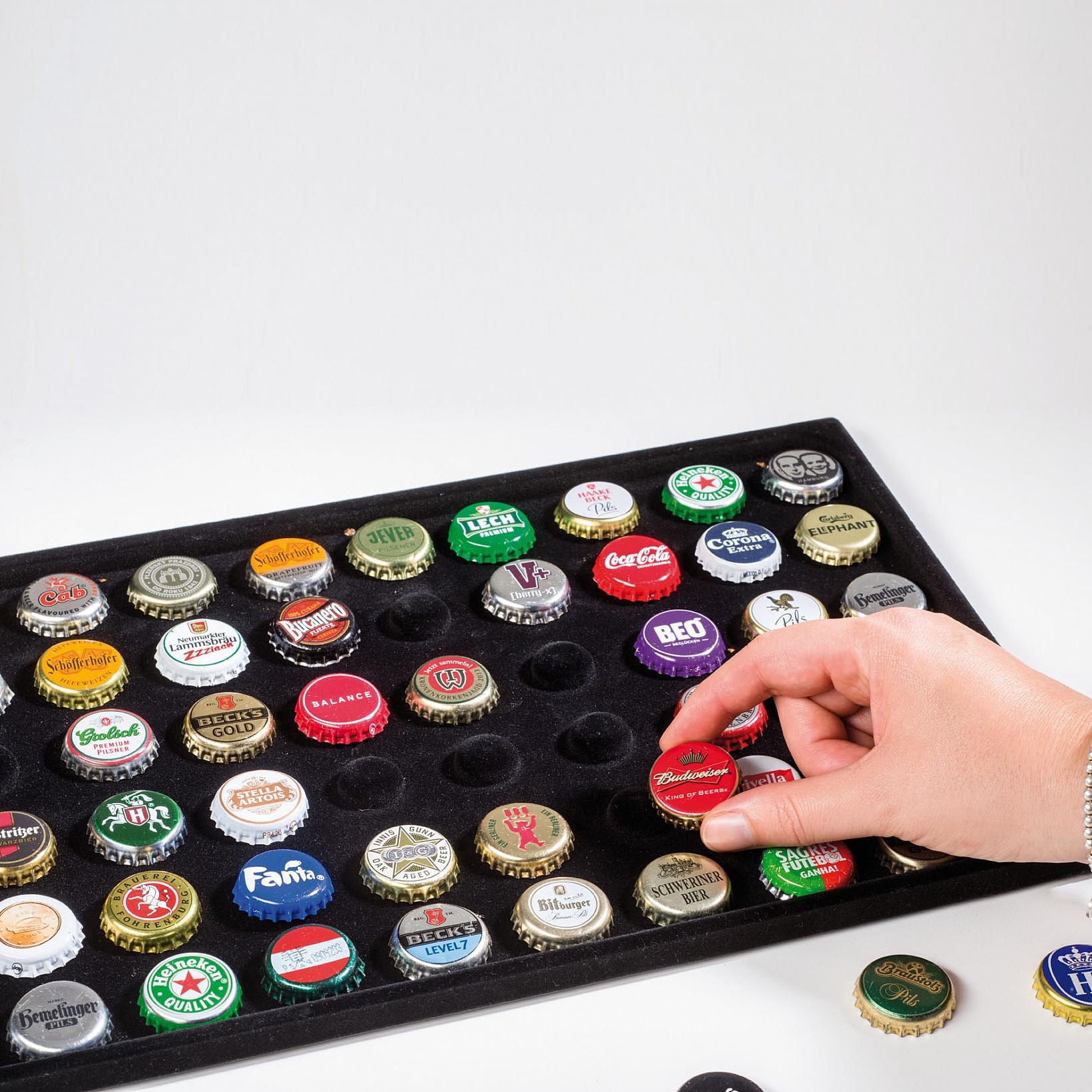 Presentation Display For 60 Champagne Caps / Bottle Caps - Showmycollection