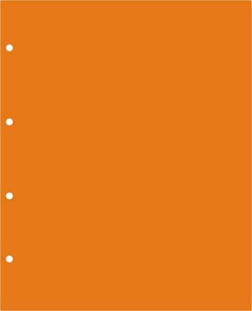 LK Interleaves / 4 Colours - Showmycollection