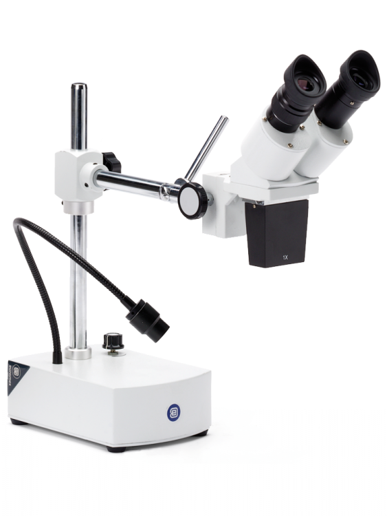 BE-50 LED Stereo Microscope - Showmycollection