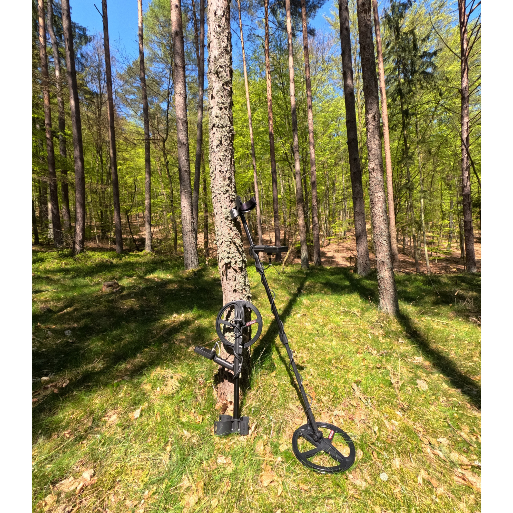 Rutus Versa - Showmycollection