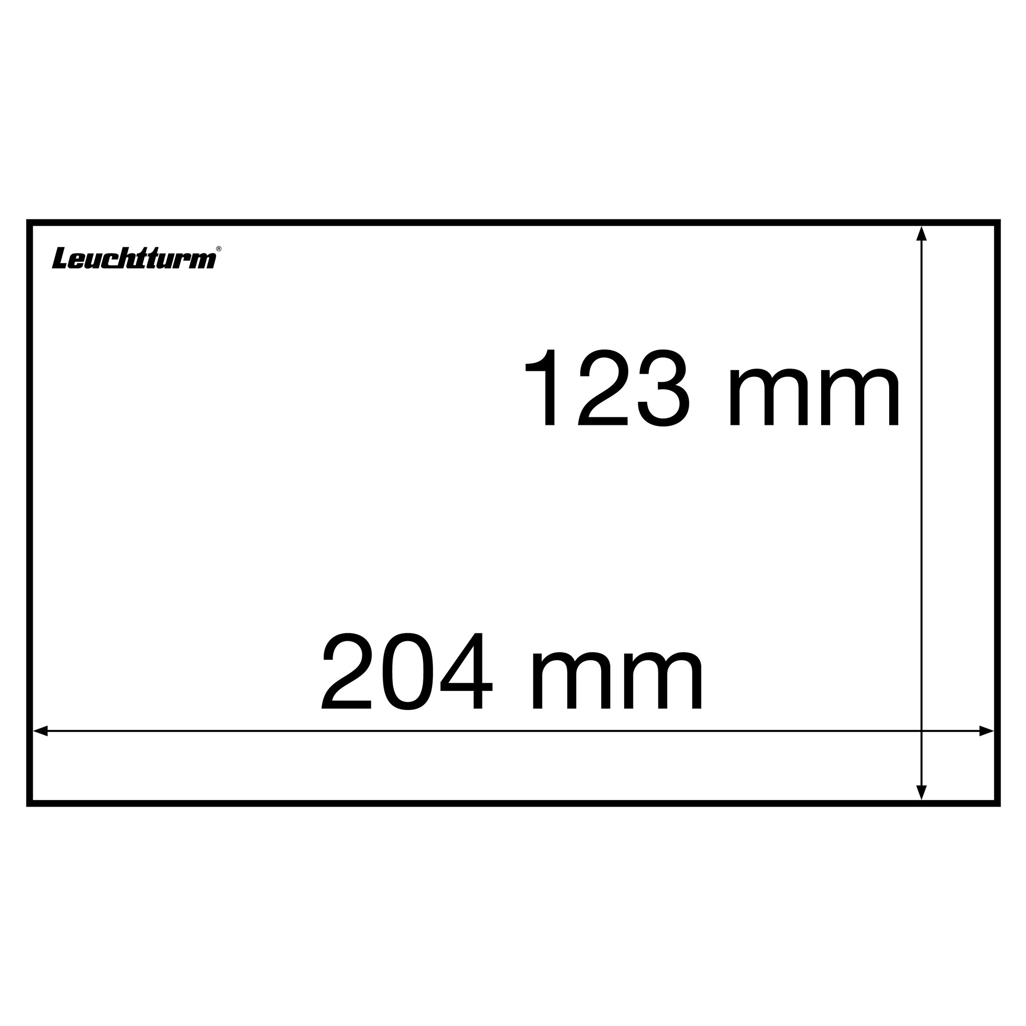 Banknote Sheets / Basic / 3 sizes / Pack of 50 - Showmycollection