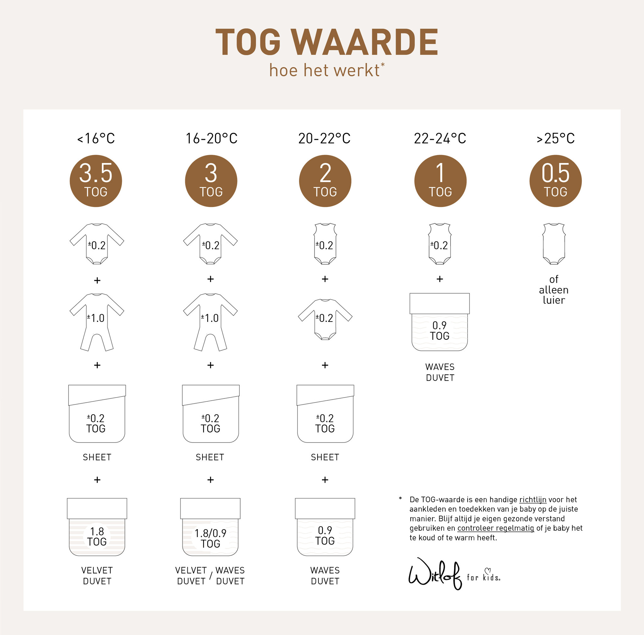 TOG-waarde - Witlof for kids