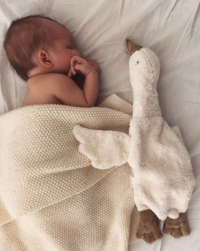 Senger Naturwelt Organic Goose Heating Cuddle Small: So soft! | Ziloen ...