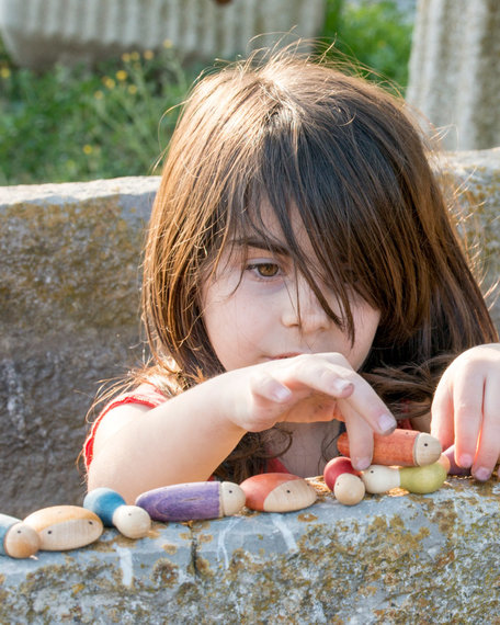 Grapat Wooden Insects - Ziloen