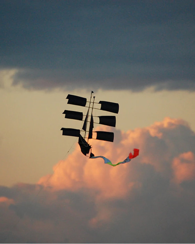 Haptic Lab Sailing ship kite - dark blue: handmade kite! | Ziloen - Ziloen